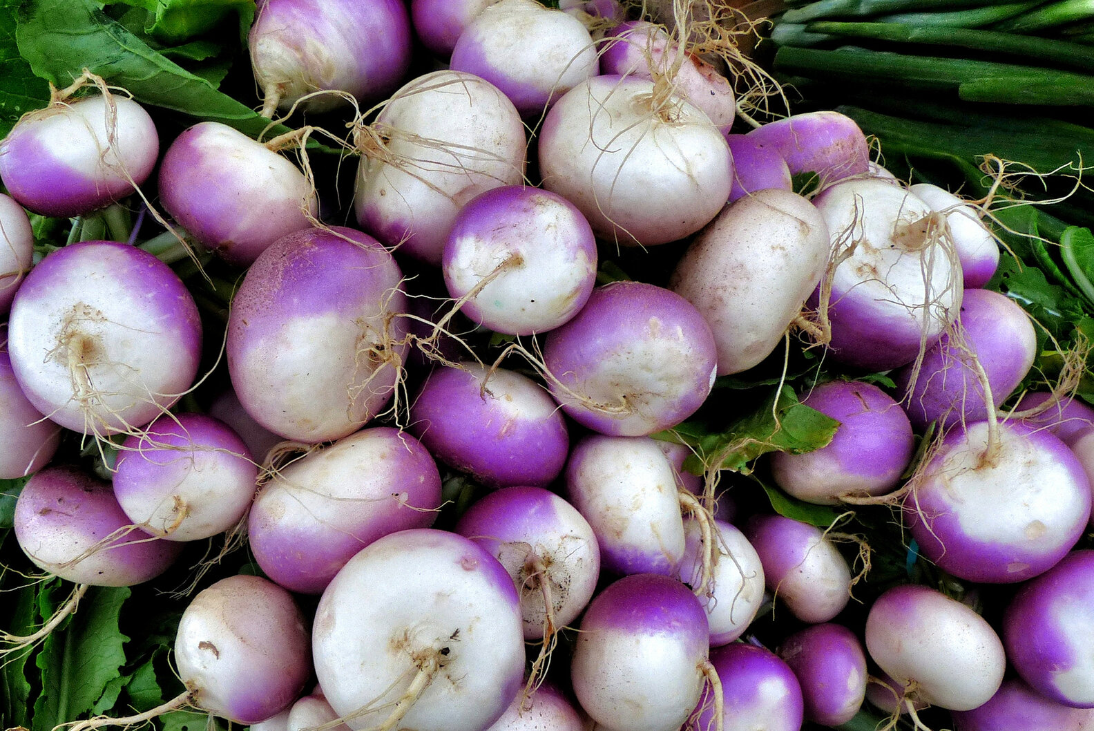 Foods in Season in February - Thrillist