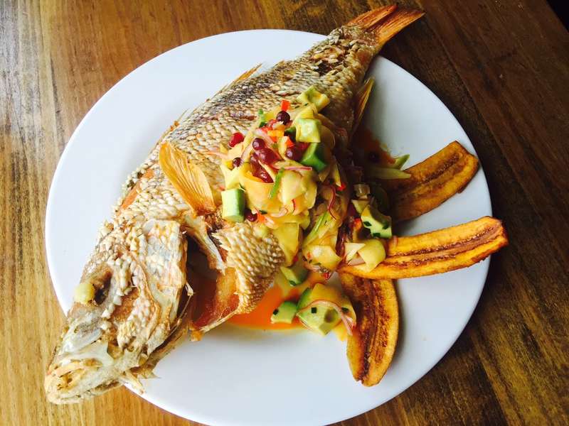 Orinoco: A Bar in Cambridge, MA - Thrillist