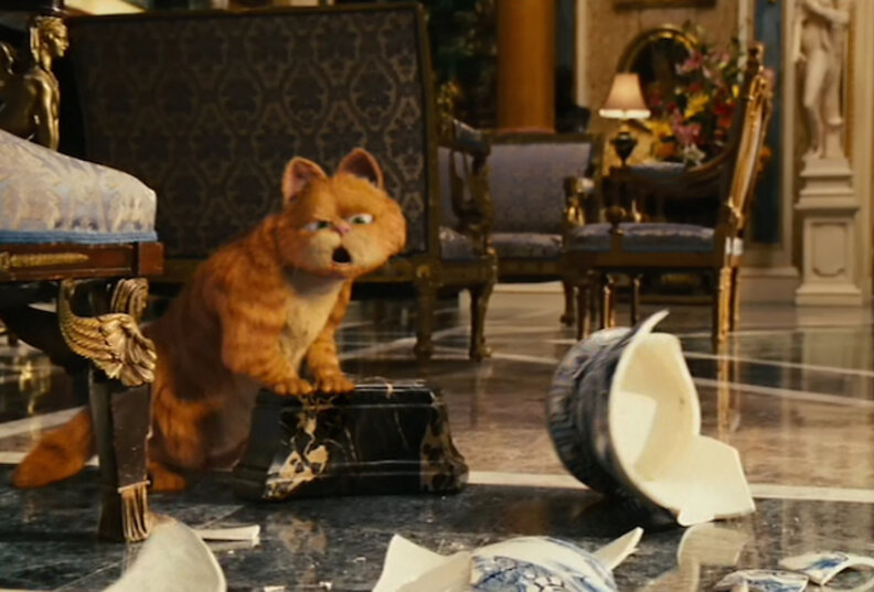 I Watched 'Garfield: A Tail of Two Kitties' for 24 Hours Straight ...
