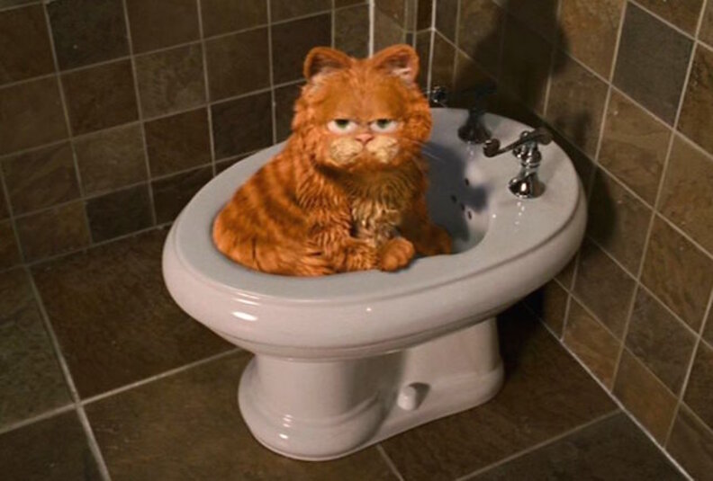 I Watched 'Garfield: A Tail of Two Kitties' for 24 Hours Straight ...