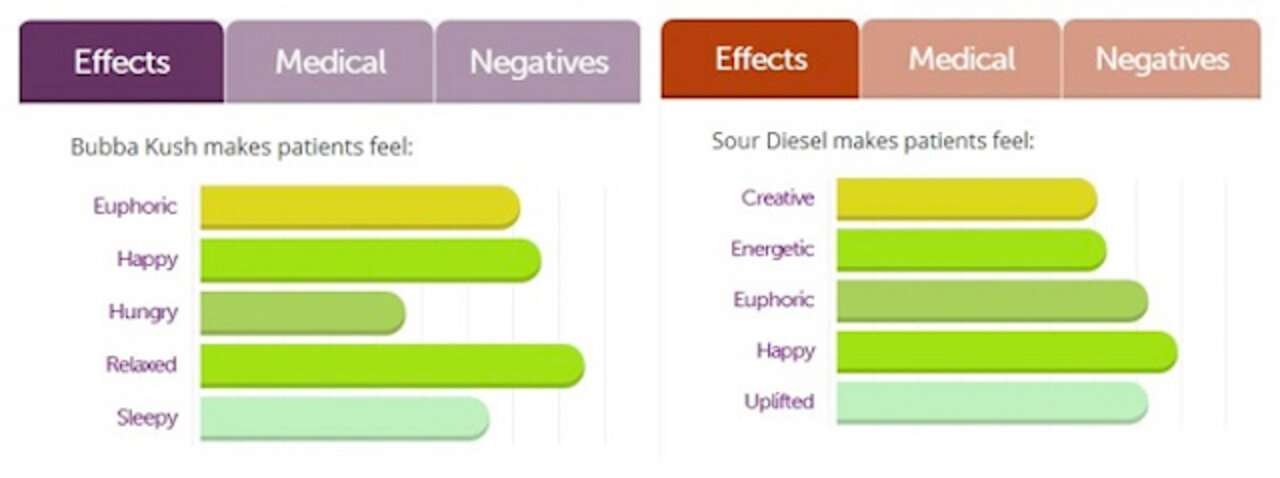 Sativa, Indica, and Hybrids - Weed Types - Thrillist