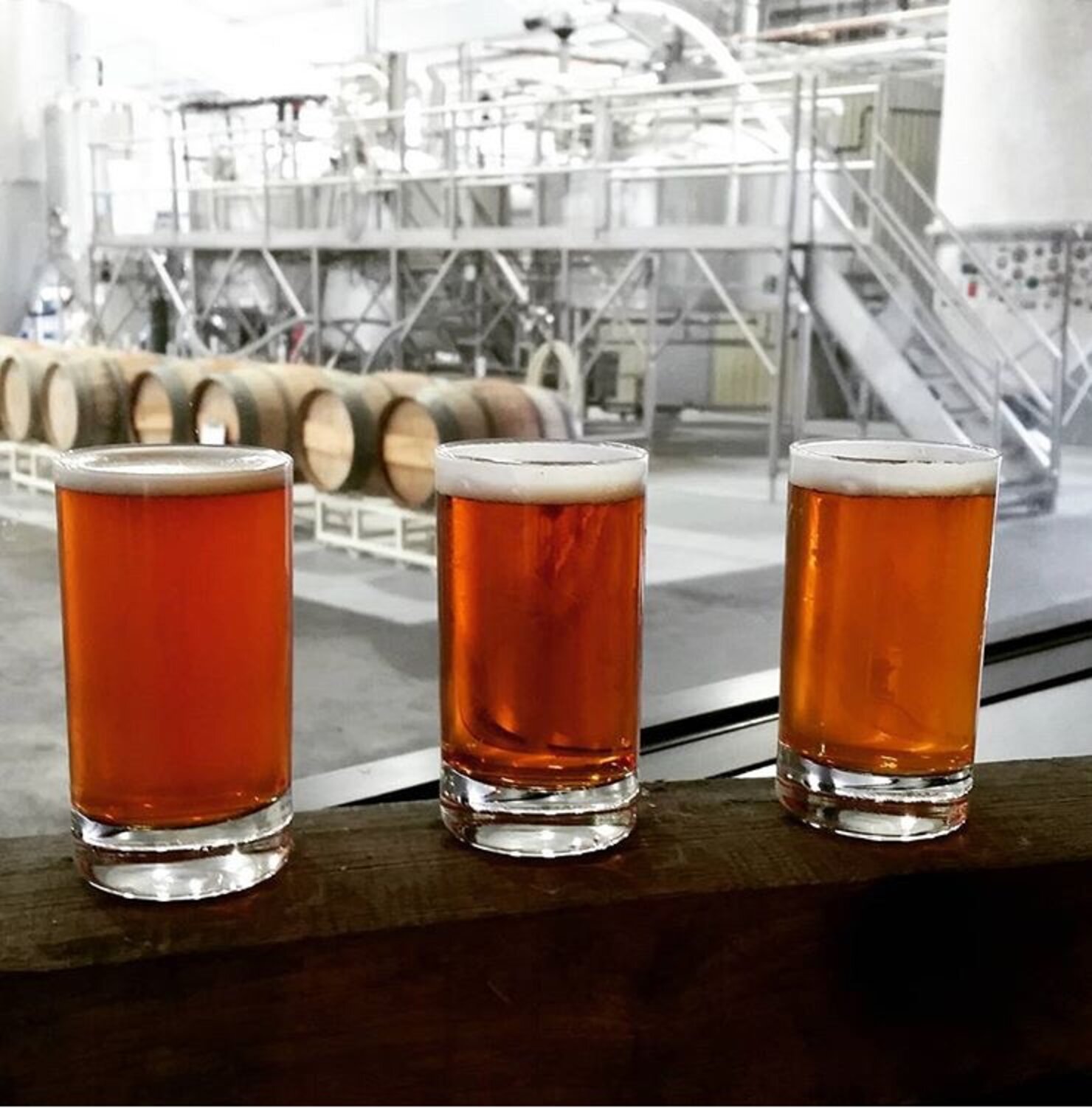 The Best Spring Beers to Drink in Charlotte - Thrillist