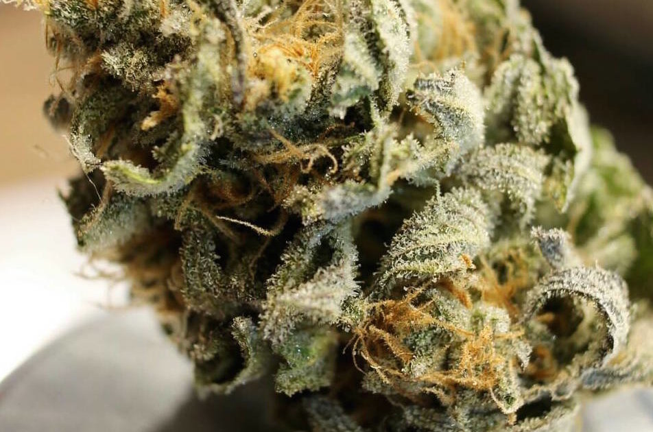 Pakalolo: A Portland, OR Venue.