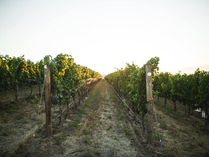 Gramercy Cellars Tasting Room: A Bar in Walla Walla, WA - Thrillist