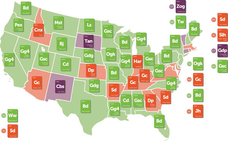 Trending Cannabis Strains – Every State's Next Big Weed Strain - Thrillist