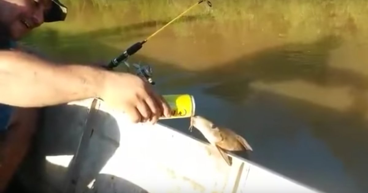 Fish Drinking Beer in Brazil (Video) - Thrillist