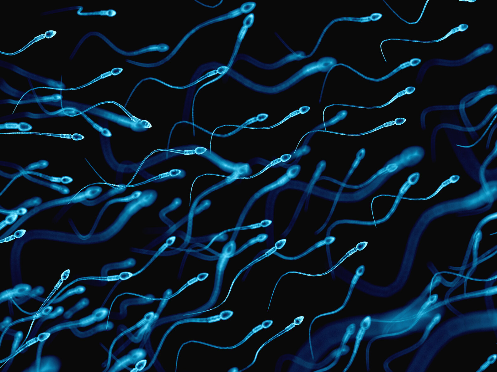 What Is Post-Mortem Sperm Harvesting and Extraction? - Thrillist