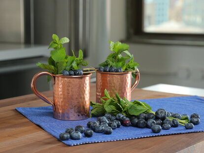 Blueberry Moscow Mule Recipe - Thrillist