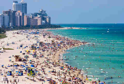 New Summer menus in Miami - Things to Do in Miami - Thrillist