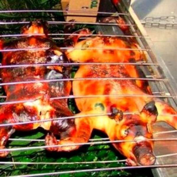 P.I.G. 3: A Restaurant in Miami, FL - Thrillist