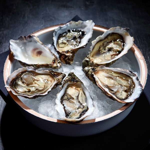 Musling: A Restaurant in København, Region Hovedstaden - Thrillist