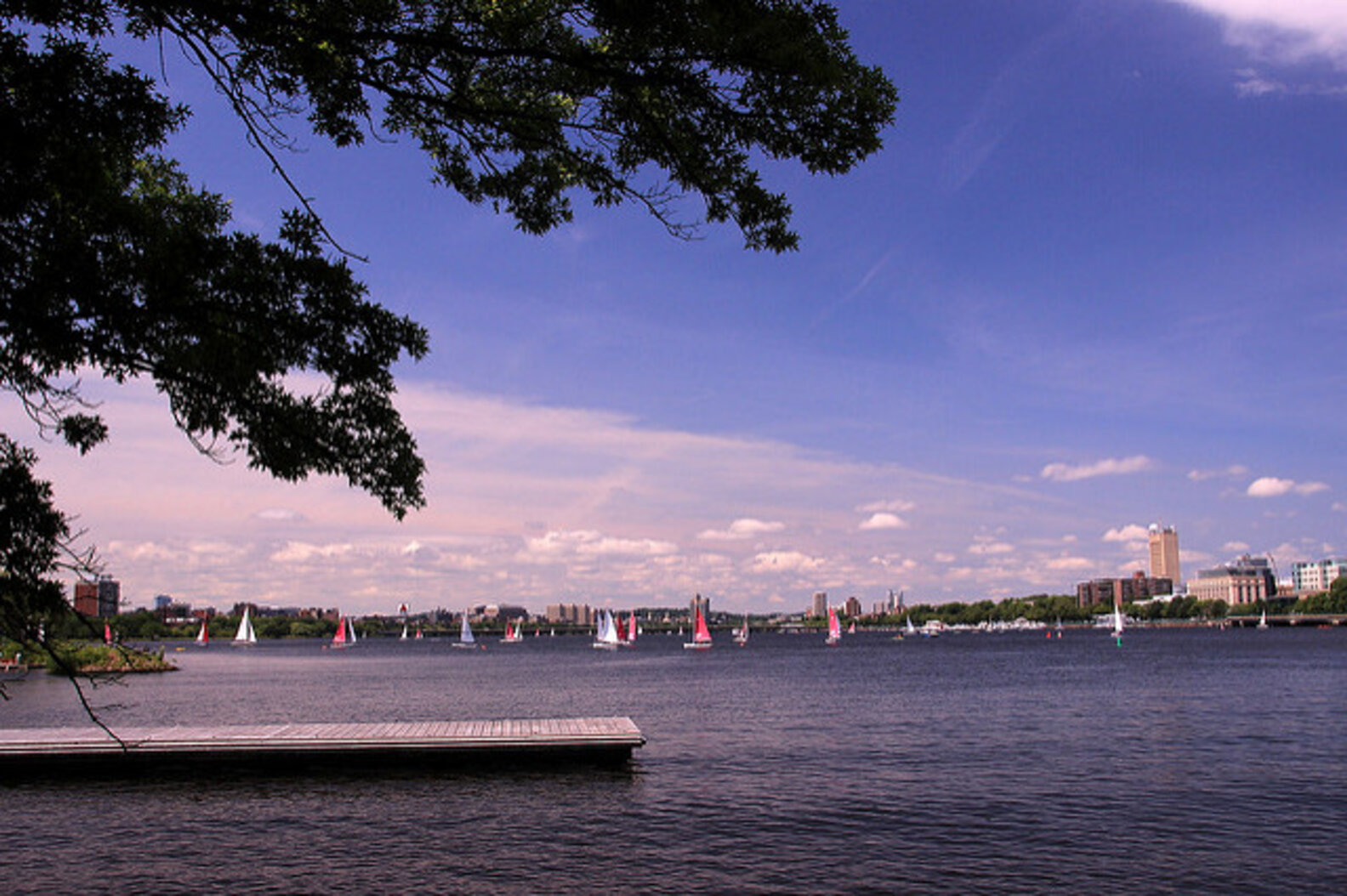 Boston Slang & Dialect Explained: Common Sayings in Beantown - Thrillist