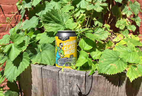 Best Summer Beers to Drink: Boston, Massachusetts - Thrillist