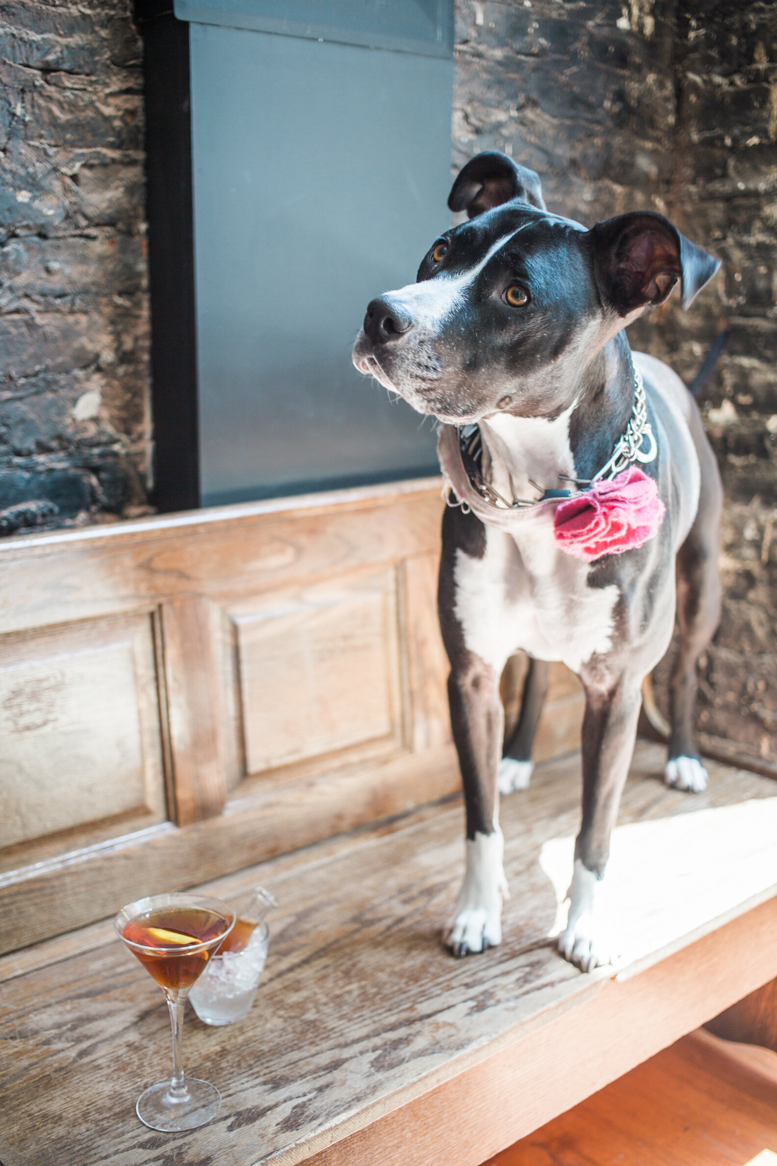 Pacific Cocktail Haven Opens in San Francisco: Cocktail Bar Review ...