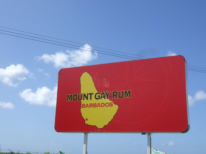 Mount Gay - Thrillist