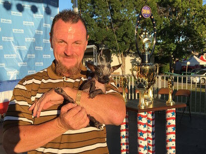 Sweepee Rambo Crowned 'World's Ugliest Dog' 2016 - Thrillist