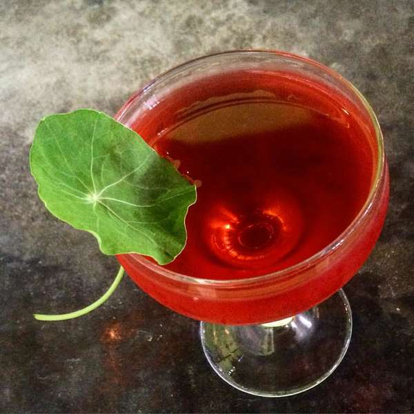 Chartreuse Kitchen & Cocktails: A Bar in Detroit, MI - Thrillist