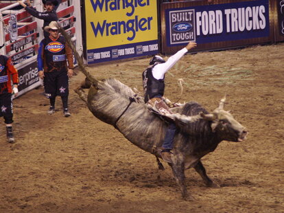 Extreme Bartending Combines Bartending With Extreme Sports - Thrillist