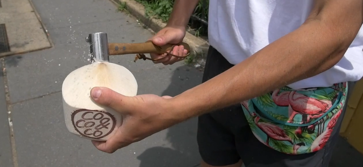 This Coconut Spike Can Open 15 Coconuts in a Minute - Thrillist