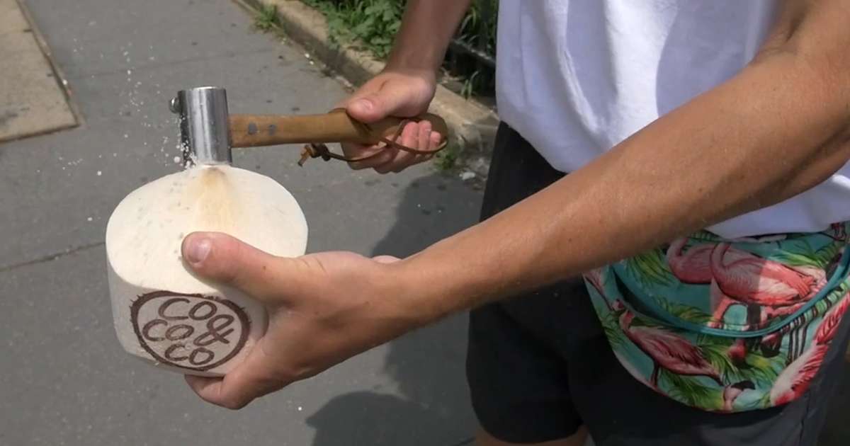 This Coconut Spike Can Open 15 Coconuts in a Minute - Thrillist