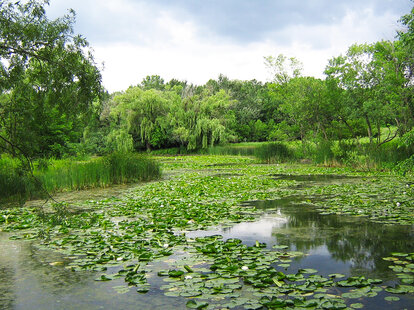 North Park Village Nature Center: Chicago, IL - Thrillist