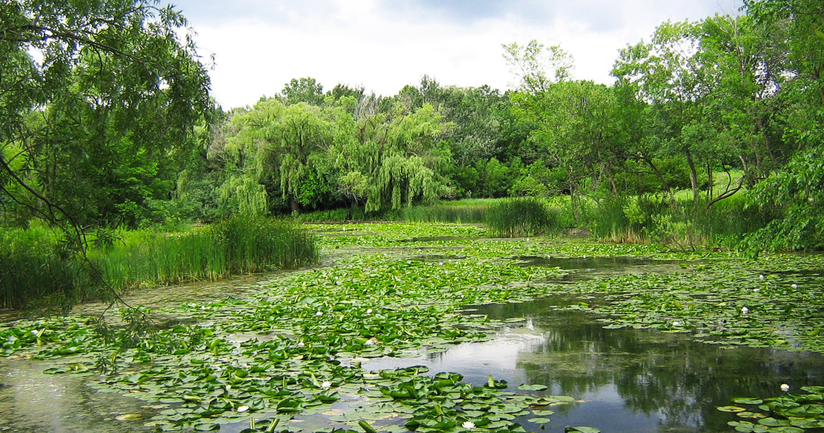 North Park Village Nature Center: A Chicago, IL Venue.
