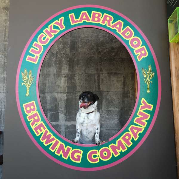 Lucky Labrador Brew Pub: A Bar in Portland, OR - Thrillist