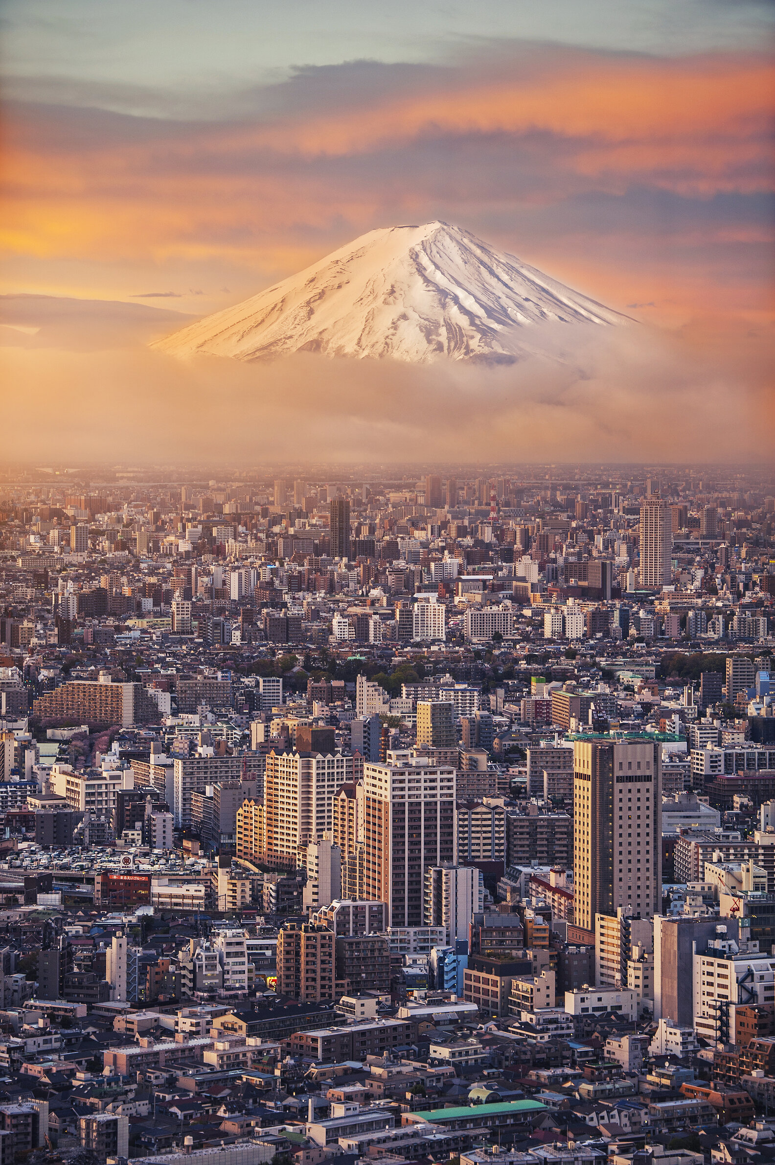 How to Prepare for the 2020 Summer Olympics in Tokyo, Japan - Thrillist