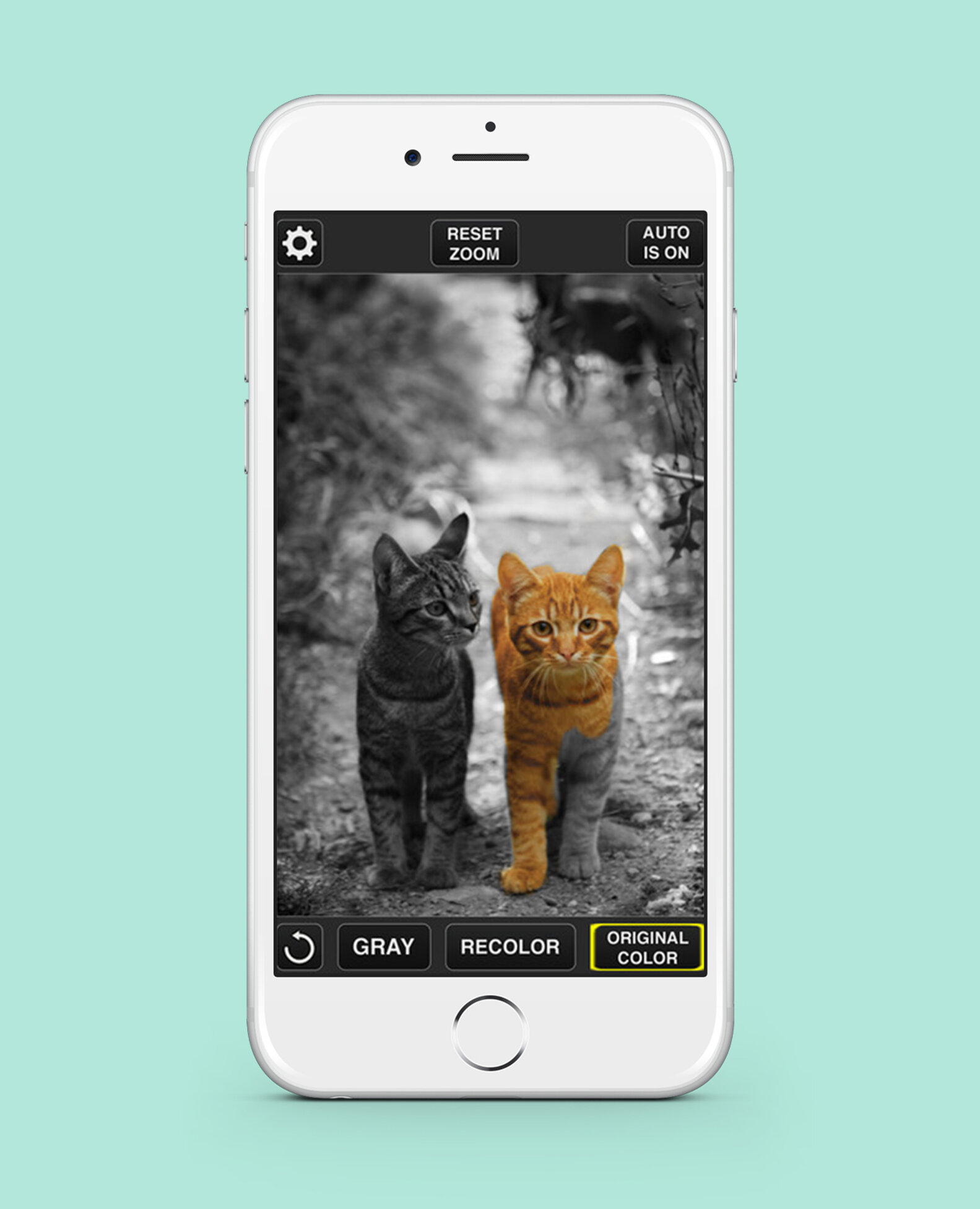 Best Photo-Editing Apps for Smartphones - Thrillist