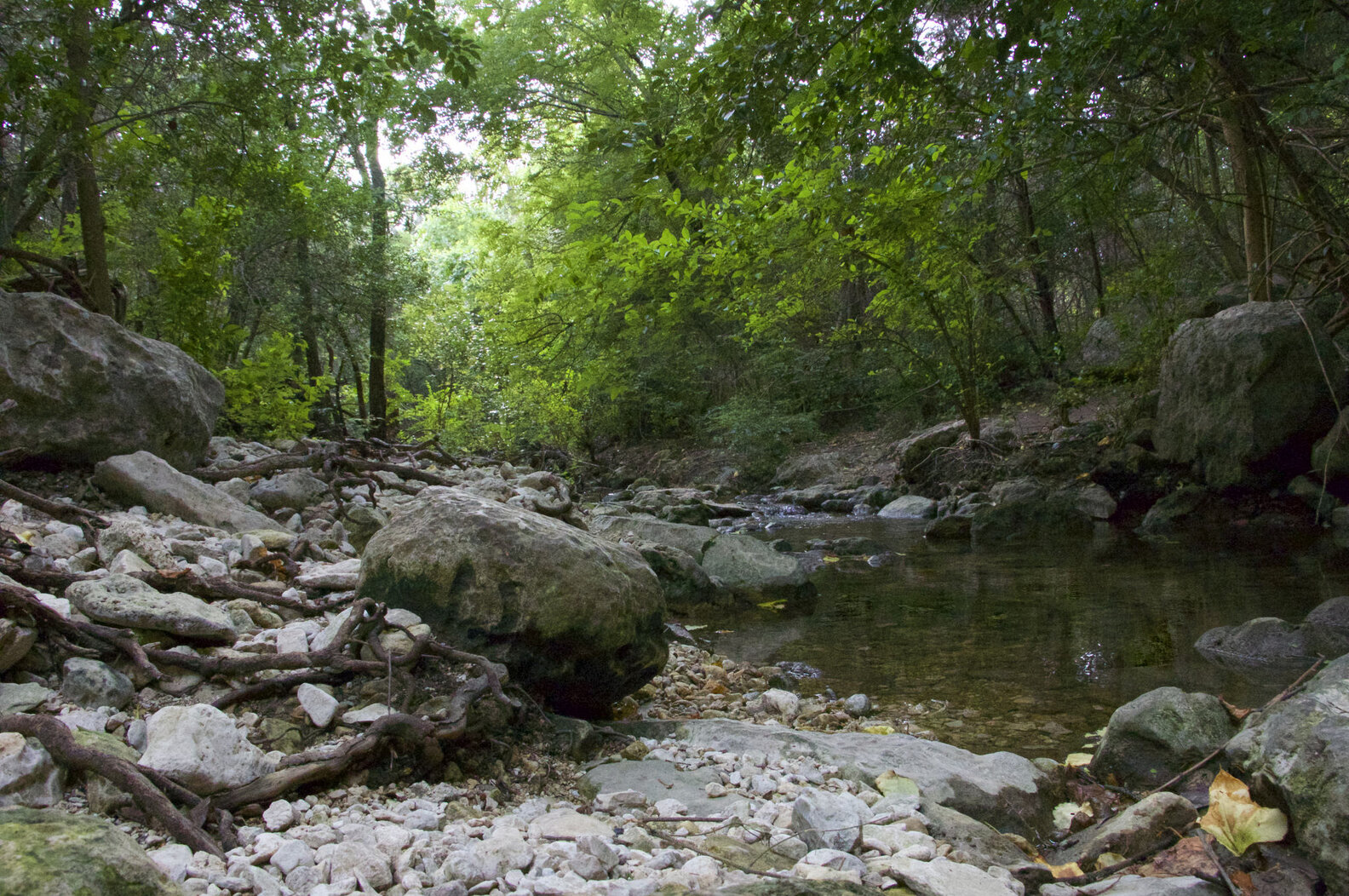 Best Scenic Running Trails & Paths in Austin, Texas - Thrillist
