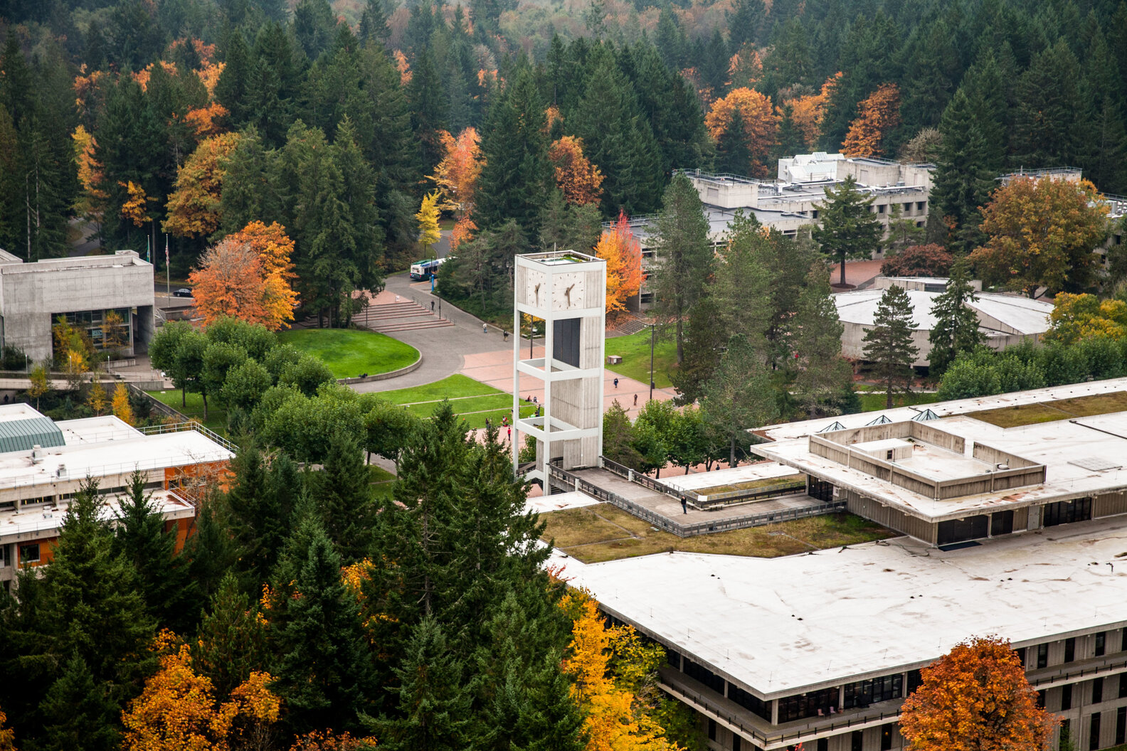 Most Beautiful Public College Campuses in America - Thrillist
