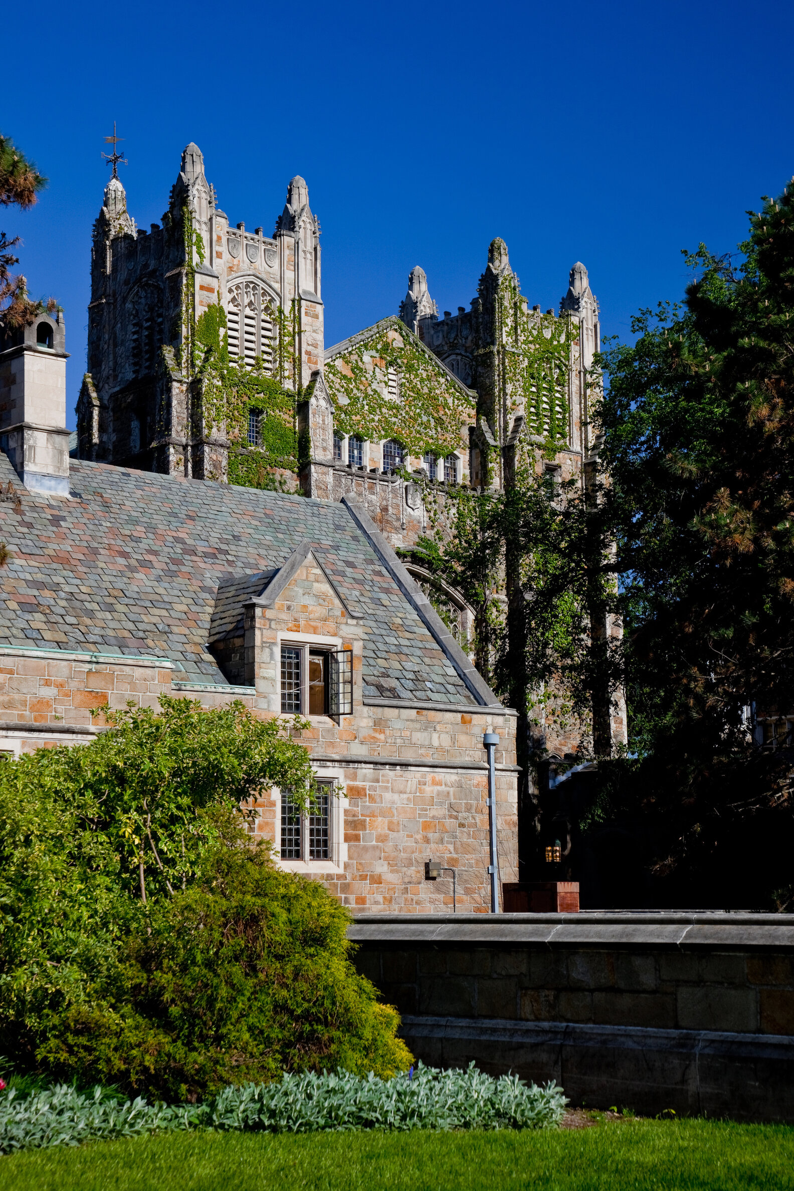 Most Beautiful Public College Campuses in America - Thrillist
