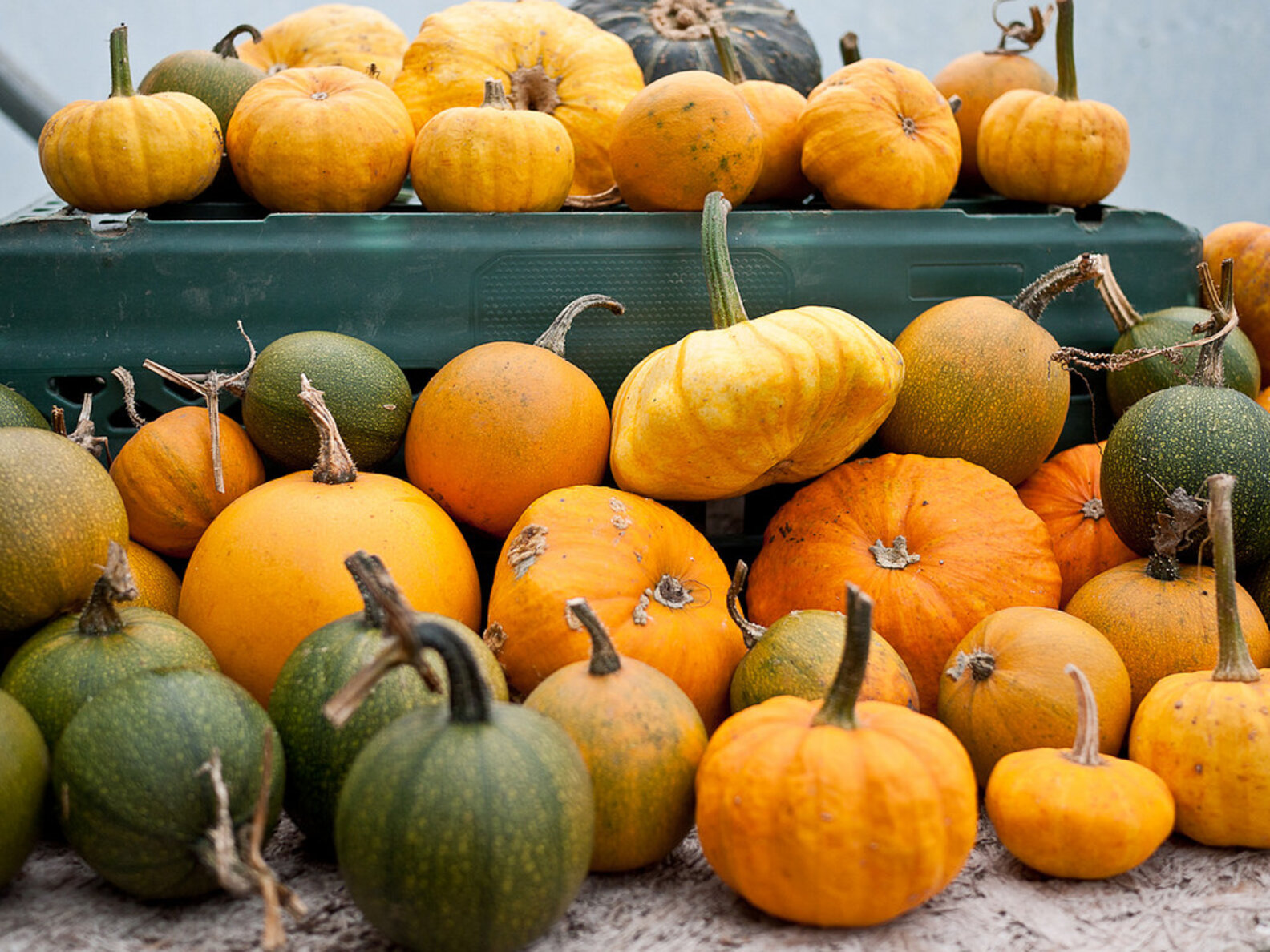 Healthy Foods, Fruits, and Vegetables in Season for October - Thrillist