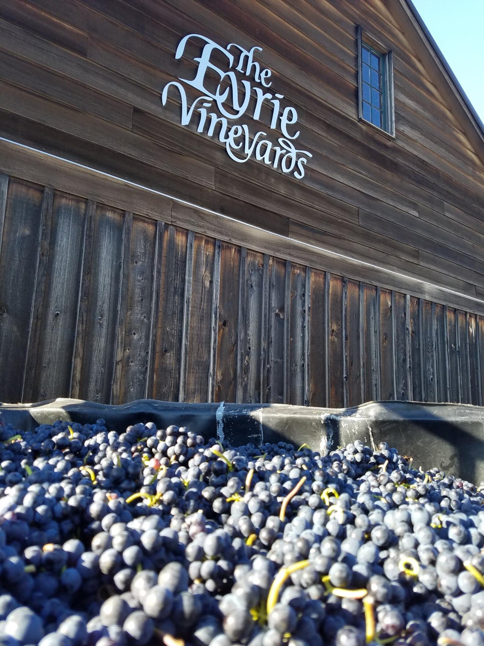The Best Wineries in Oregon's Essential Willamette Valley - Thrillist