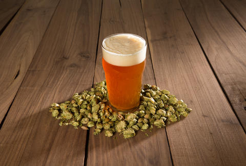 Fresh Beer Hops Explained: Best Fresh Hop Beers to Drink This Fall ...
