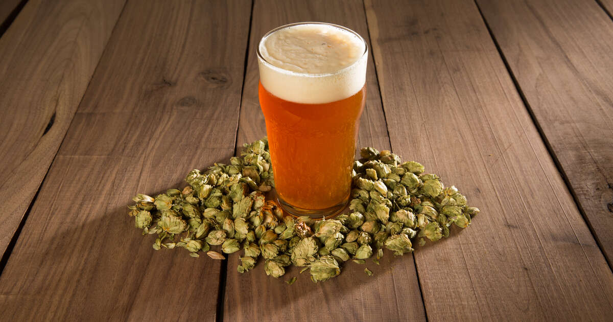Fresh Beer Hops Explained: Best Fresh Hop Beers to Drink This Fall ...