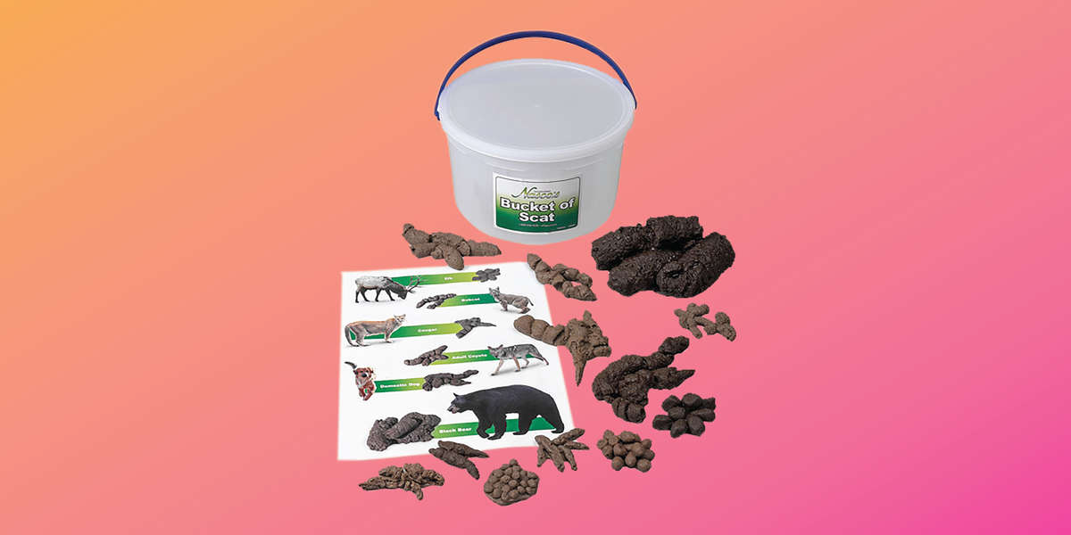 Fake Animal Poop Bucket For Sale on Amazon - Thrillist