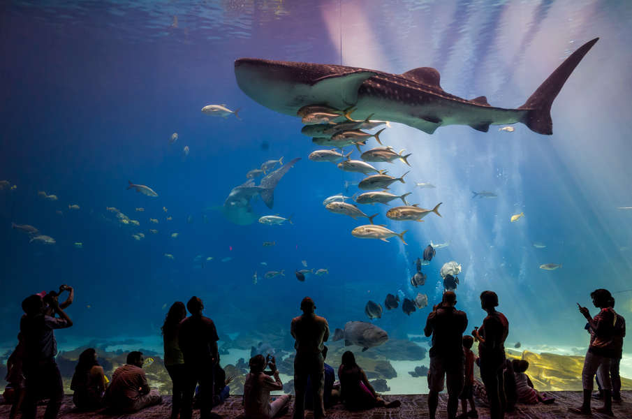 Best Atlanta Attractions and Landmarks, Ranked - Thrillist