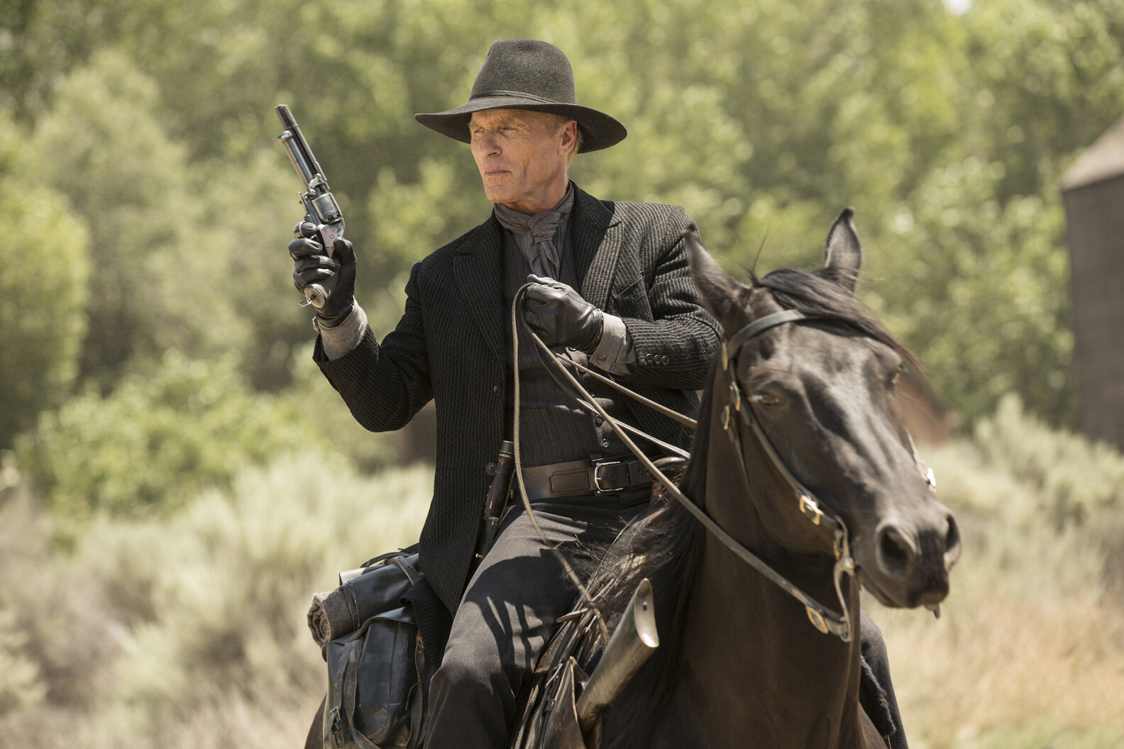 Westworld Review: Stream Jonathan Nolan's HBO Robot Show Now - Thrillist