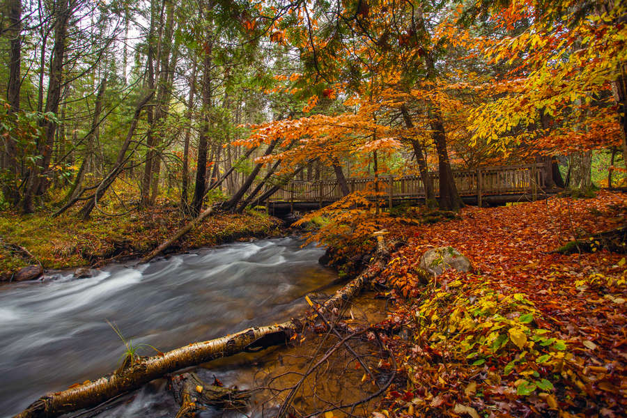 Michigan Summer Getaways That Are Actually Better in the Fall - Thrillist