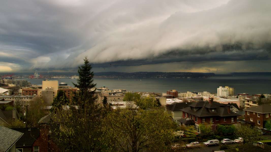Seattle Windstorm to Hit on Saturday With Deadly Effects, Bad Weather ...