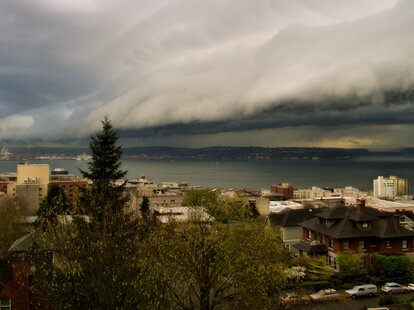 Seattle Windstorm to Hit on Saturday With Deadly Effects, Bad Weather ...