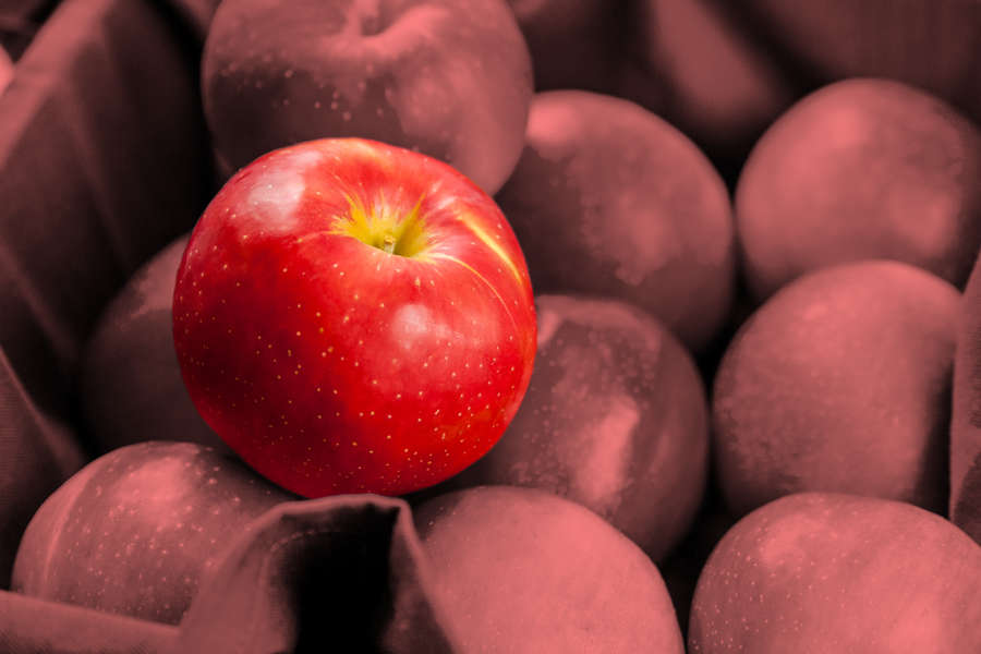 Why SweeTango Apples Are Best Apples You Can Buy - Thrillist