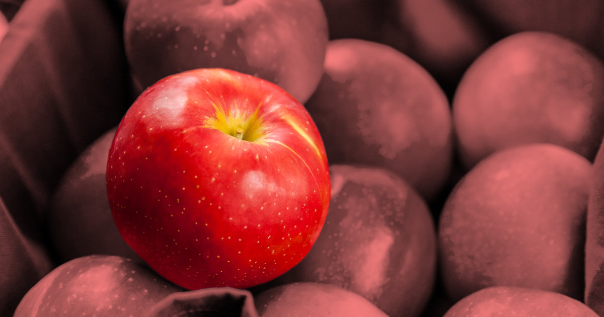 Why SweeTango Apples Are Best Apples You Can Buy - Thrillist