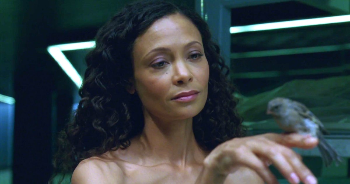 What the 'Westworld' Bird Scenes in Episode 5 Mean for Maeve - Thrillist