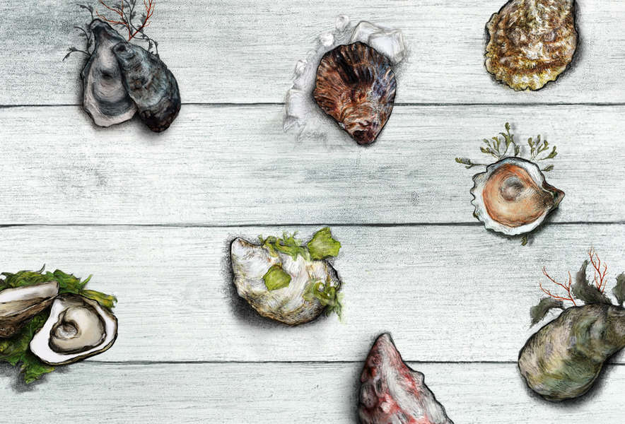 The Official Infographic of Long Island's Many Oysters - Thrillist