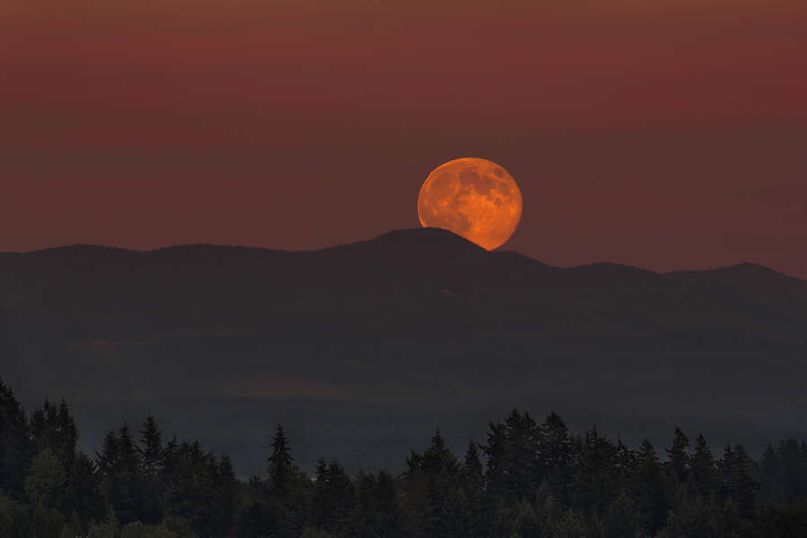 Supermoon on November 14 Will Be Record-Setting - Thrillist