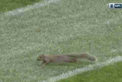 Best National Parks in the Caribbean: USVI, Puerto Rico, the DR & More ...