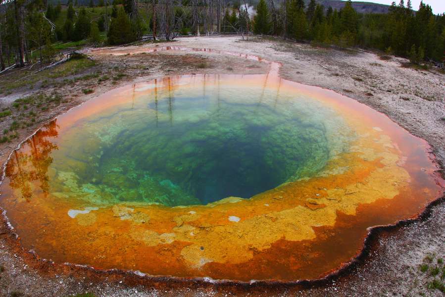 Yellowstone National Park Tourist Dies While Hot Pot Bathing in Pool ...