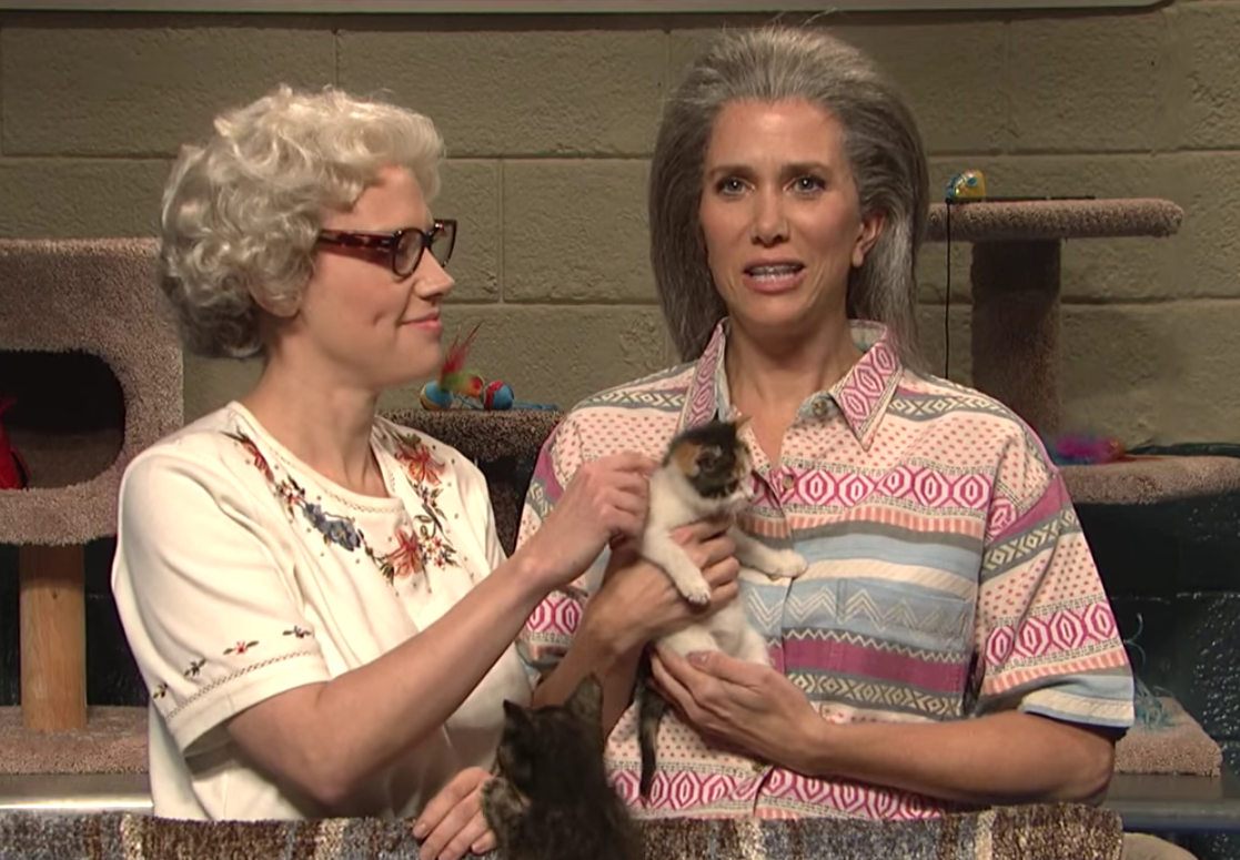 8 Snl Sketches Starring Cats Feline Funnies Beaconpet